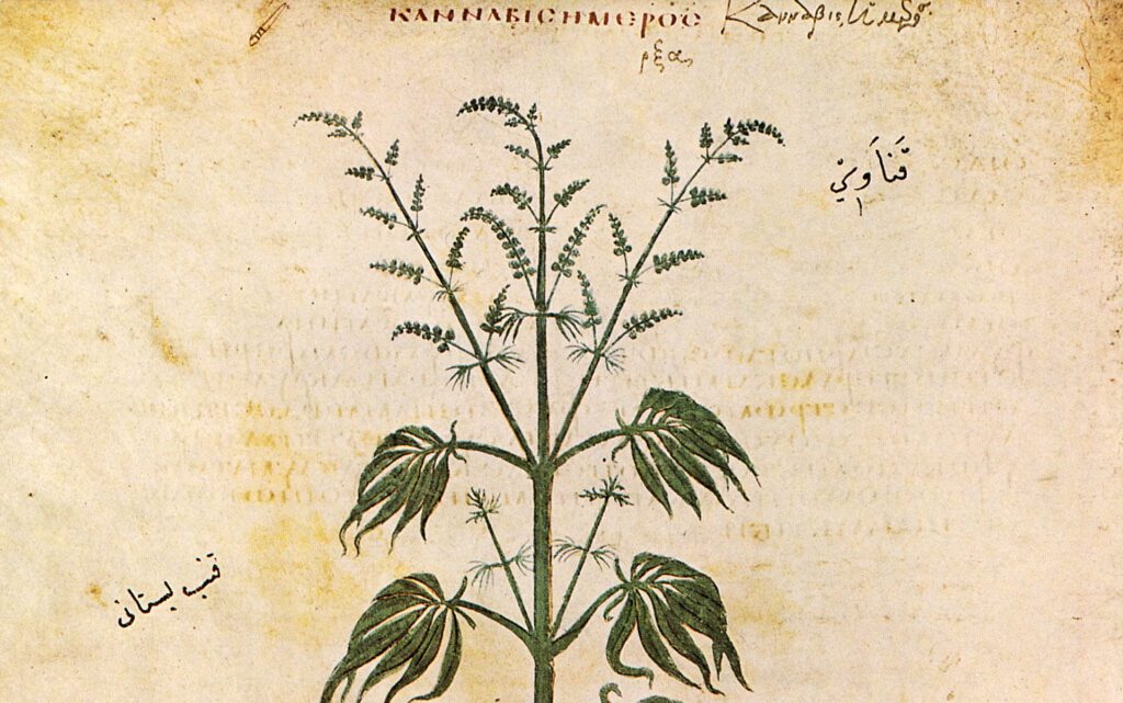 The History of Medical Cannabis - Compassionate Healthcare of Florida
